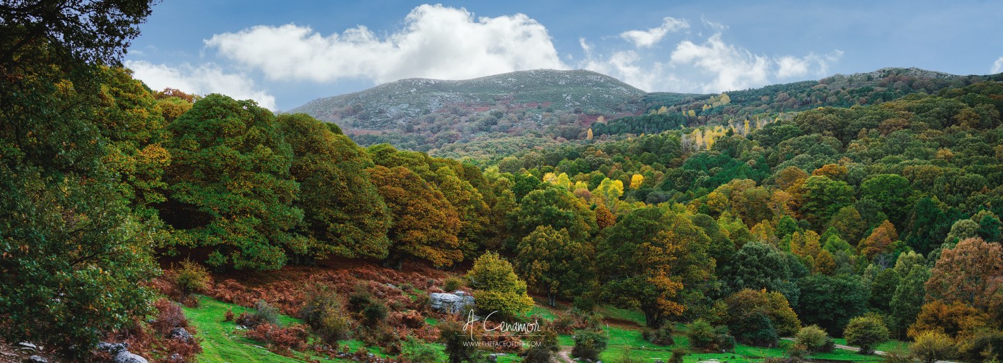 Autumn colors – Momentos estelares de la vida recopilados en imágenes